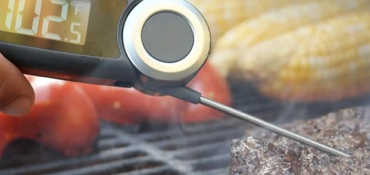 What's the Best Meat Temperatures When Cooking? ChefsTemp Answers