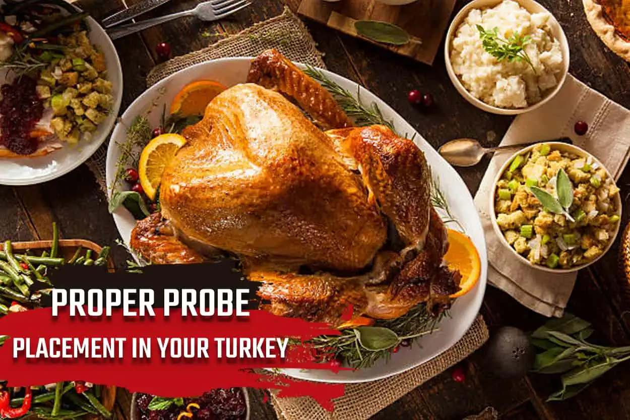 How to Place Proper Probe in Turkey | ChefsTemp