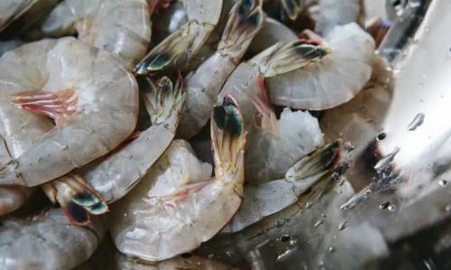 What Temperature to Grill Shrimp for the Best Results