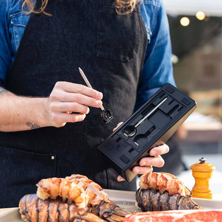 ProTemp Plus Wireless Meat and Grill Thermometer | ChefsTemp
