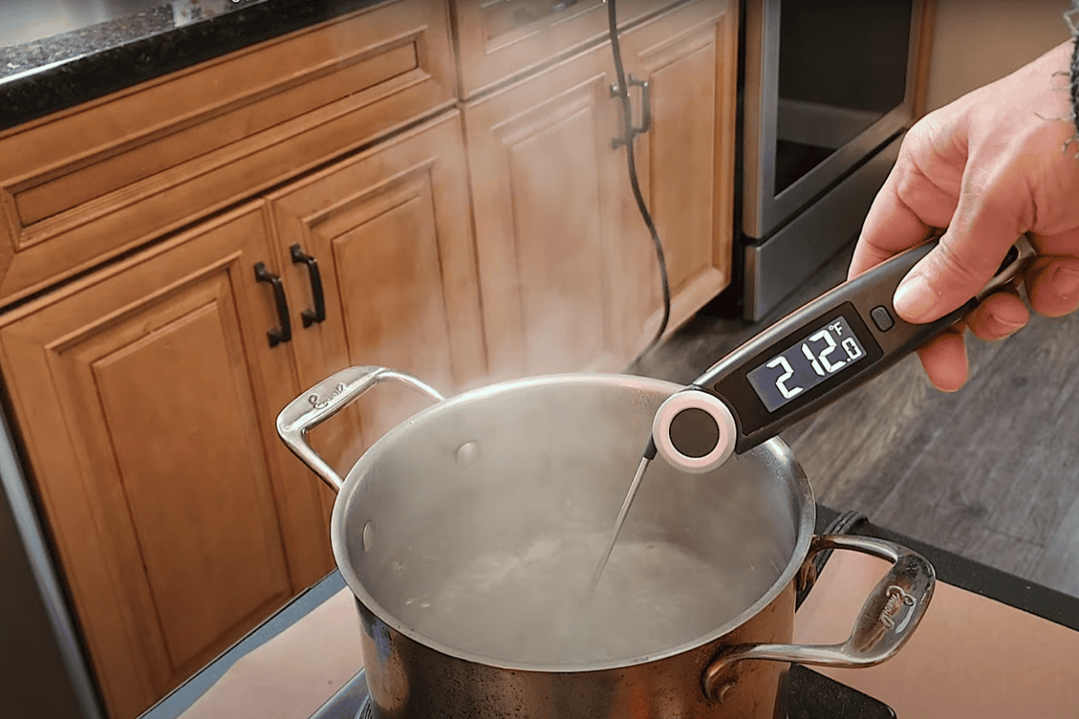 Get the right temperature on your BBQ | ChefsTemp