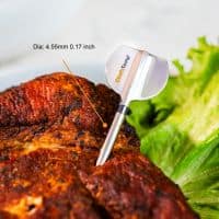 ProTemp 2 Plus Wireless Meat Thermometer | ChefsTemp