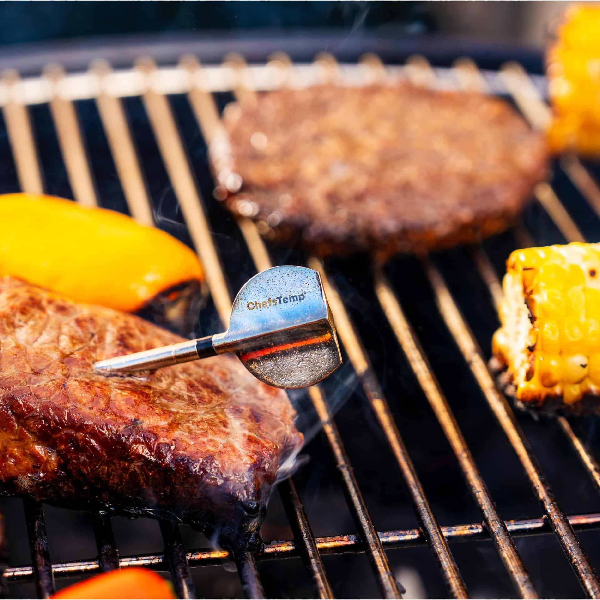 ProTemp 2 Plus Wireless Meat Thermometer | ChefsTemp