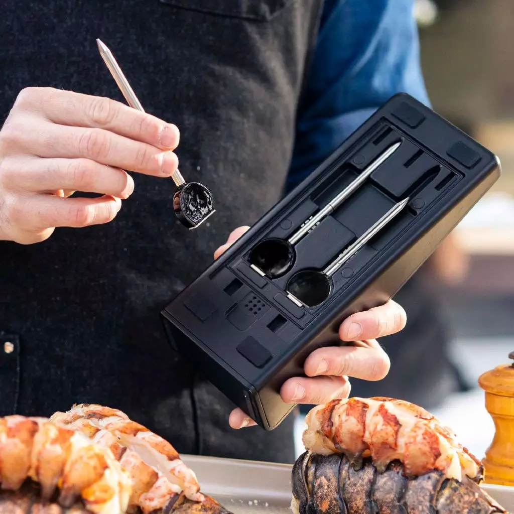 ProTemp Plus Wireless Meat and Grill Thermometer | ChefsTemp